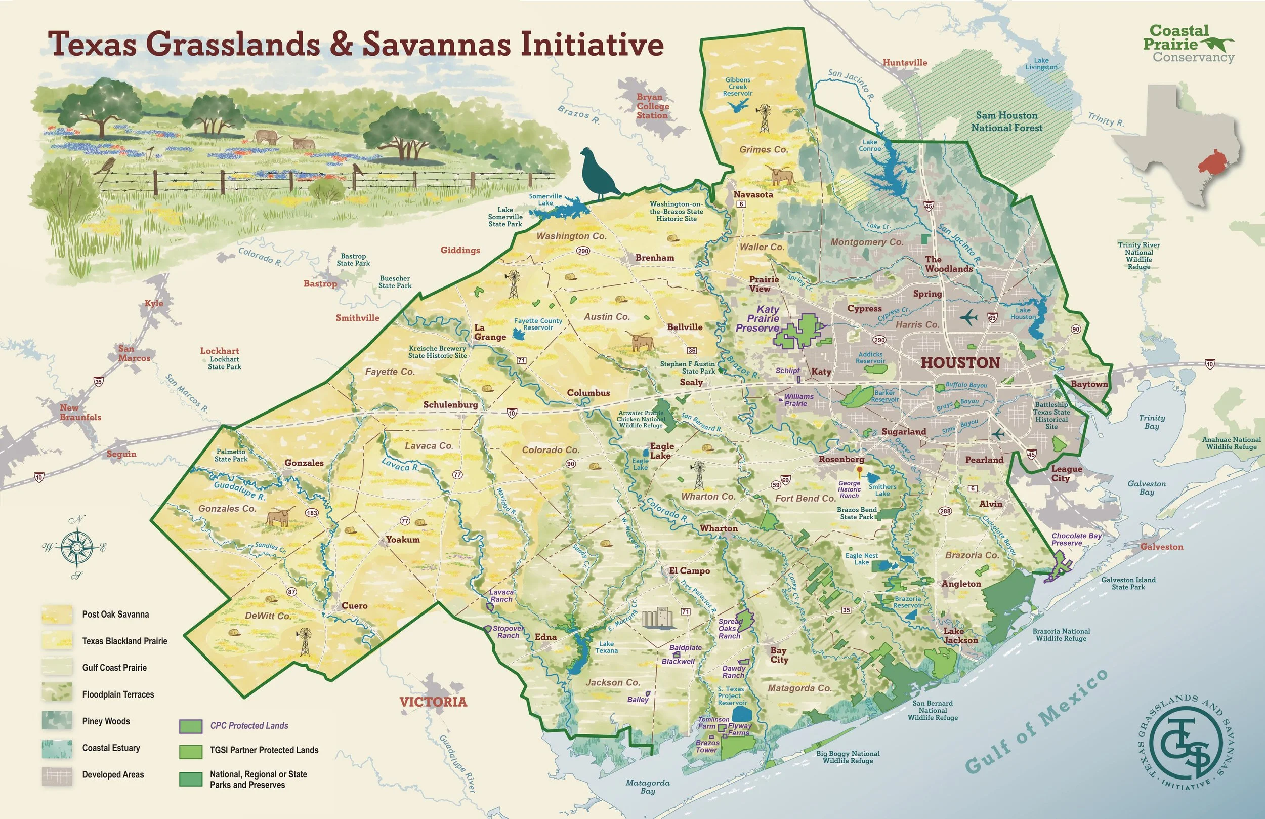 About TGSI — Texas Grasslands and Savannas Initiative & Texas Coastal ...