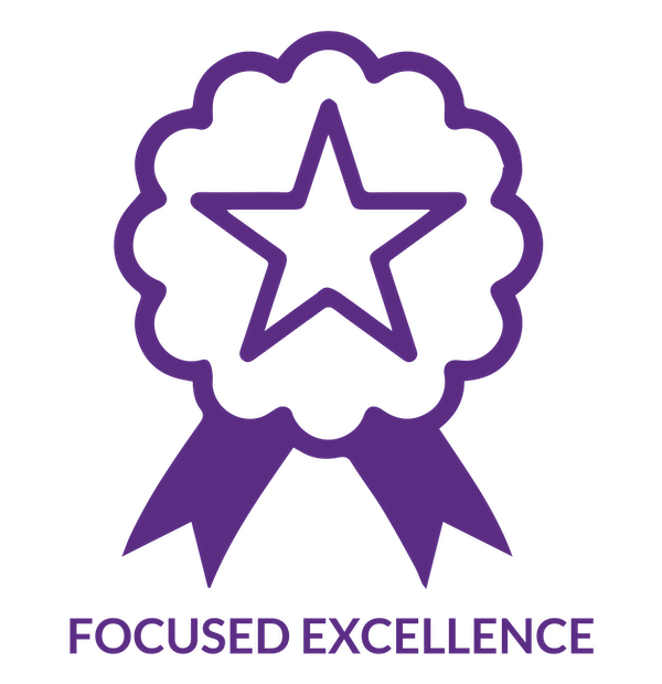 Strive For Excellence Icon