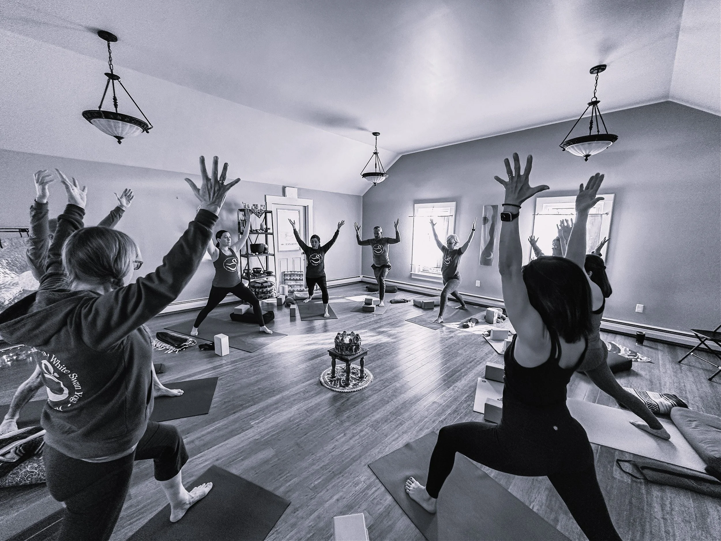 Classes — White Swan Yoga