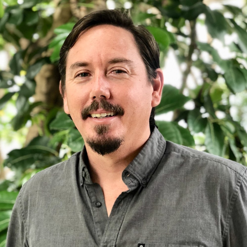 TEAM (New) — Austin Tsutsumi & Associates