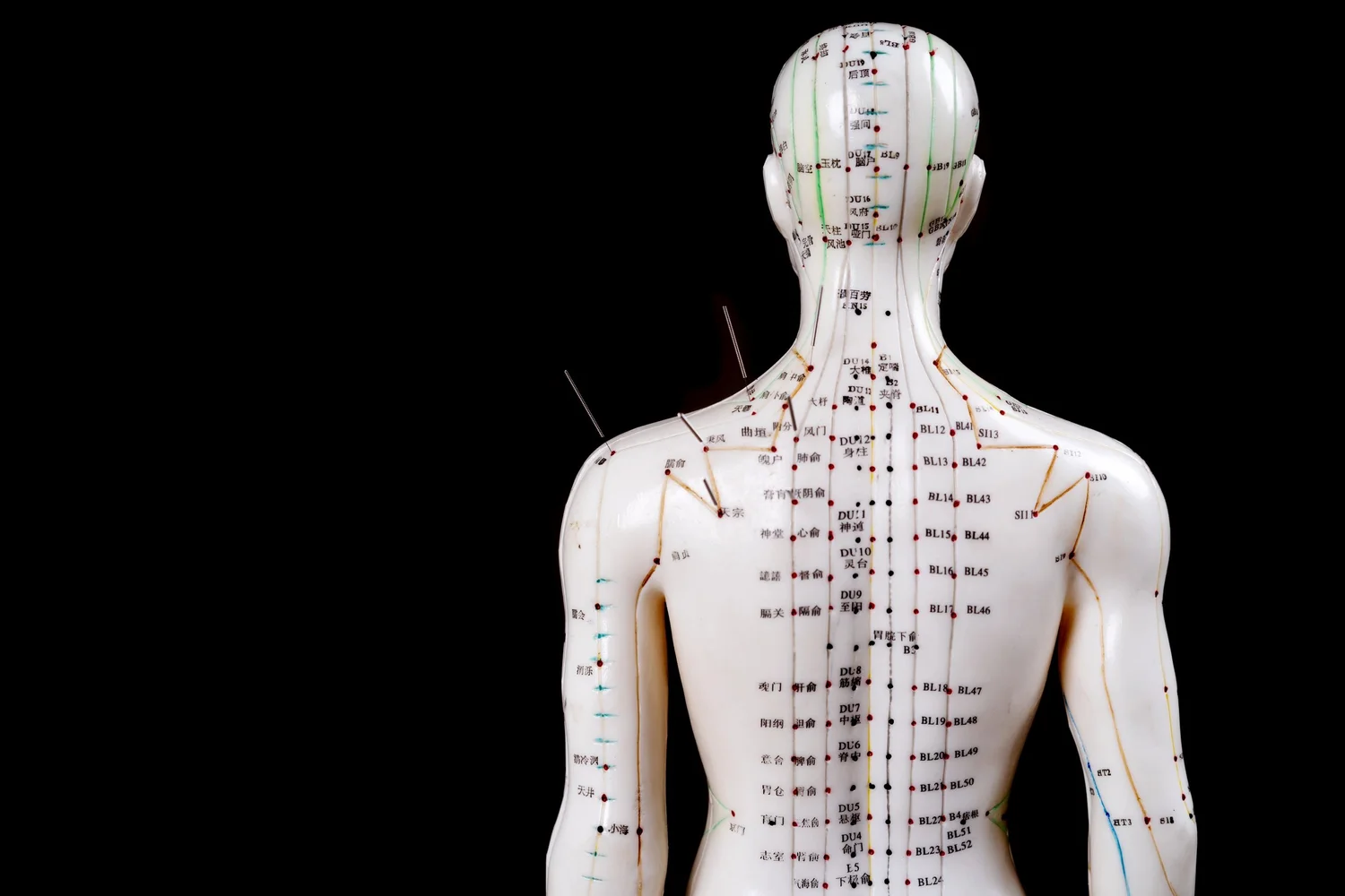 Lung Meridian Chart Acupuncture Lung Meridian