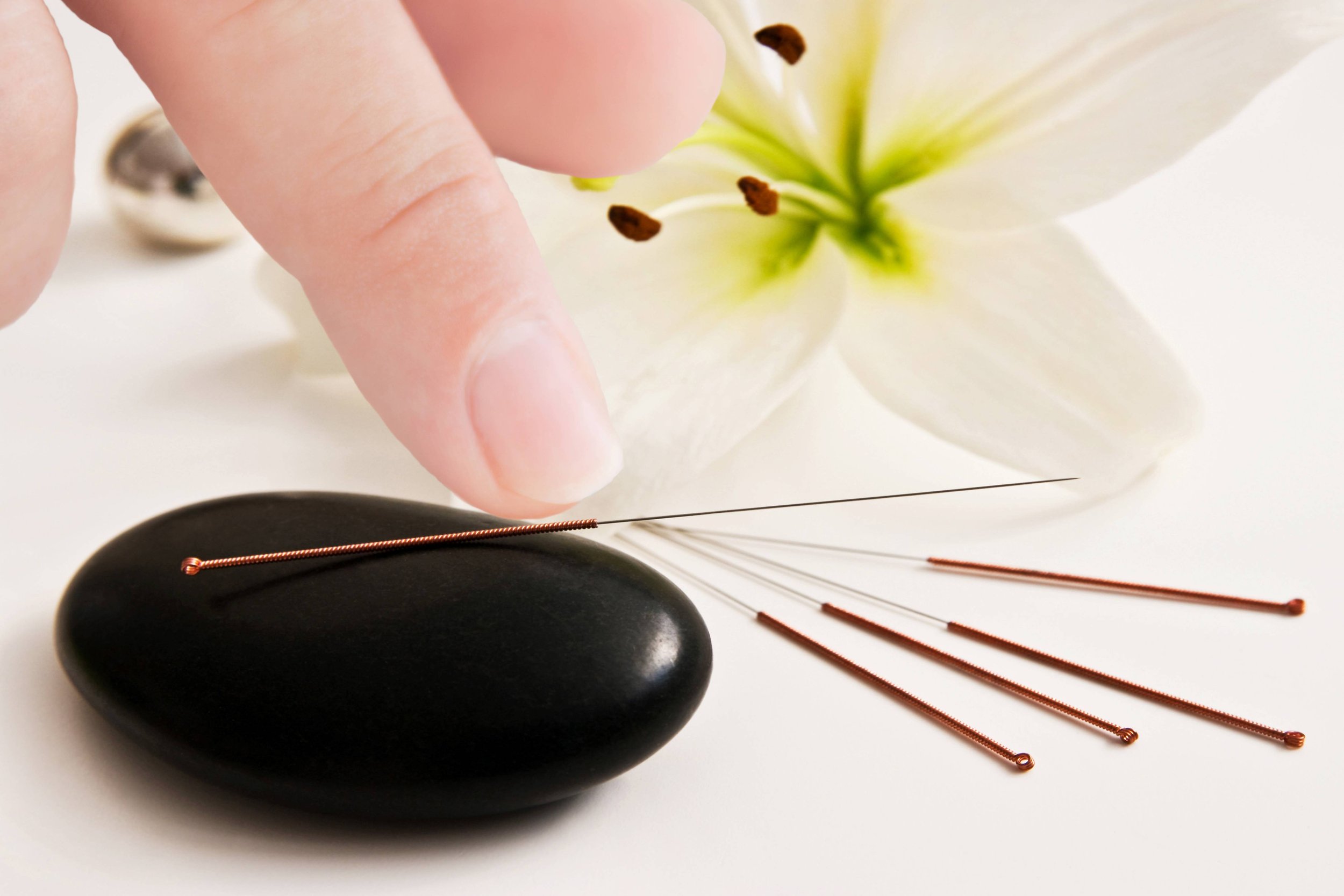 What is Traditional Chinese Medicine? — Morningside Acupuncture NYC
