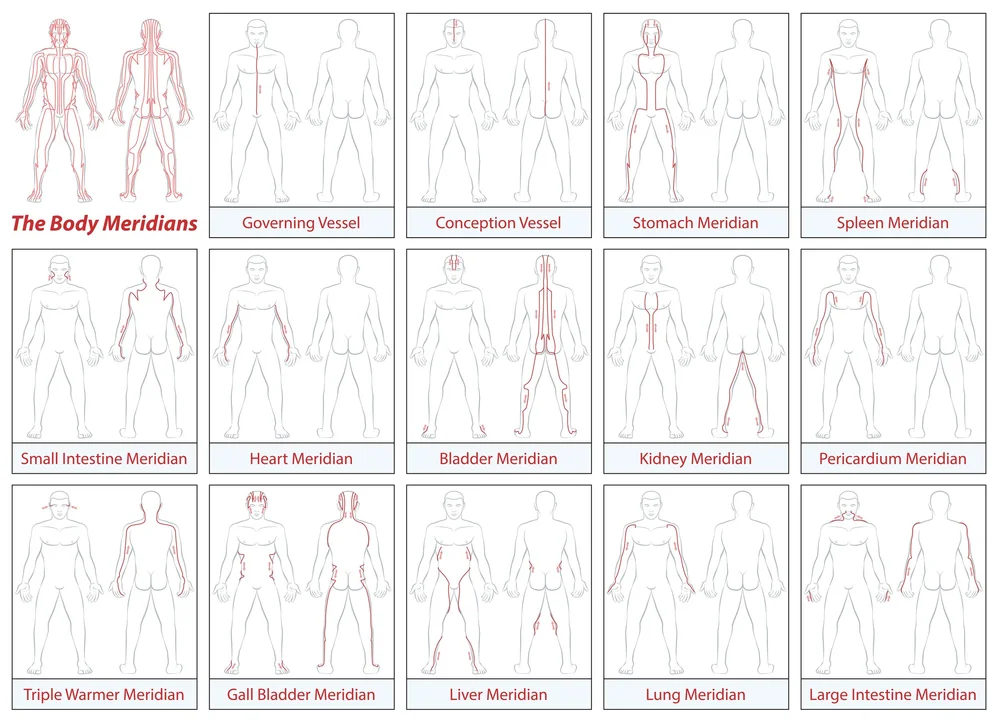 Acupuncture Meridian Pathways — Morningside Acupuncture NYC