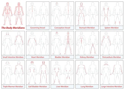 Acupuncture Meridian Pathways — Morningside Acupuncture NYC