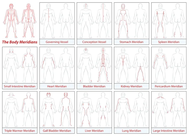 Acupuncture Meridian Pathways — Morningside Acupuncture NYC