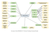 SNOMED CT FAQ Guide: Beyond the Basics — Expert Healthcare Terminology ...