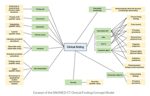 SNOMED CT FAQ Guide: Beyond the Basics — Expert Healthcare Terminology ...