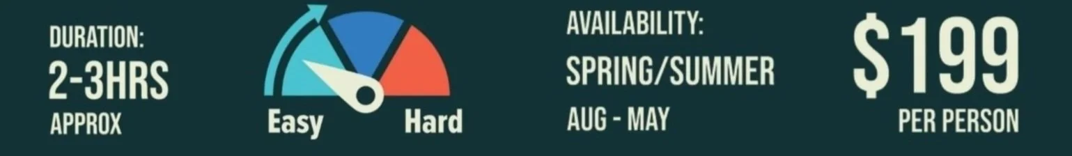 Cable Climb — Wildwire