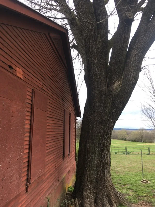 Lift Work — Williamson Tree Care