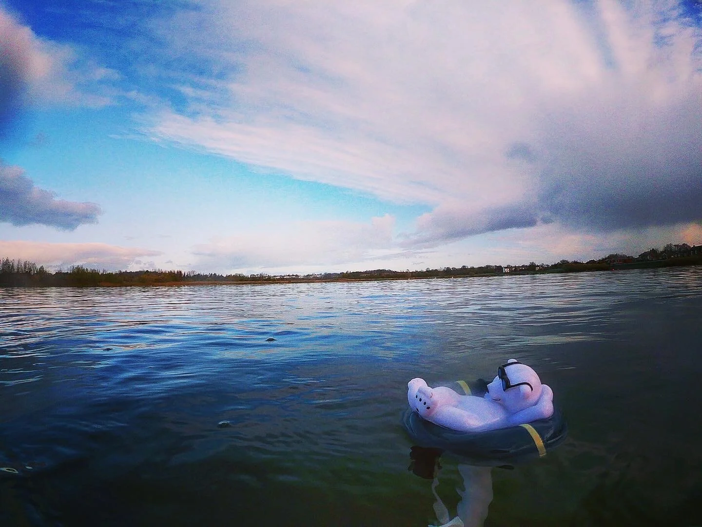 Home [www.openwaterleeds.com]