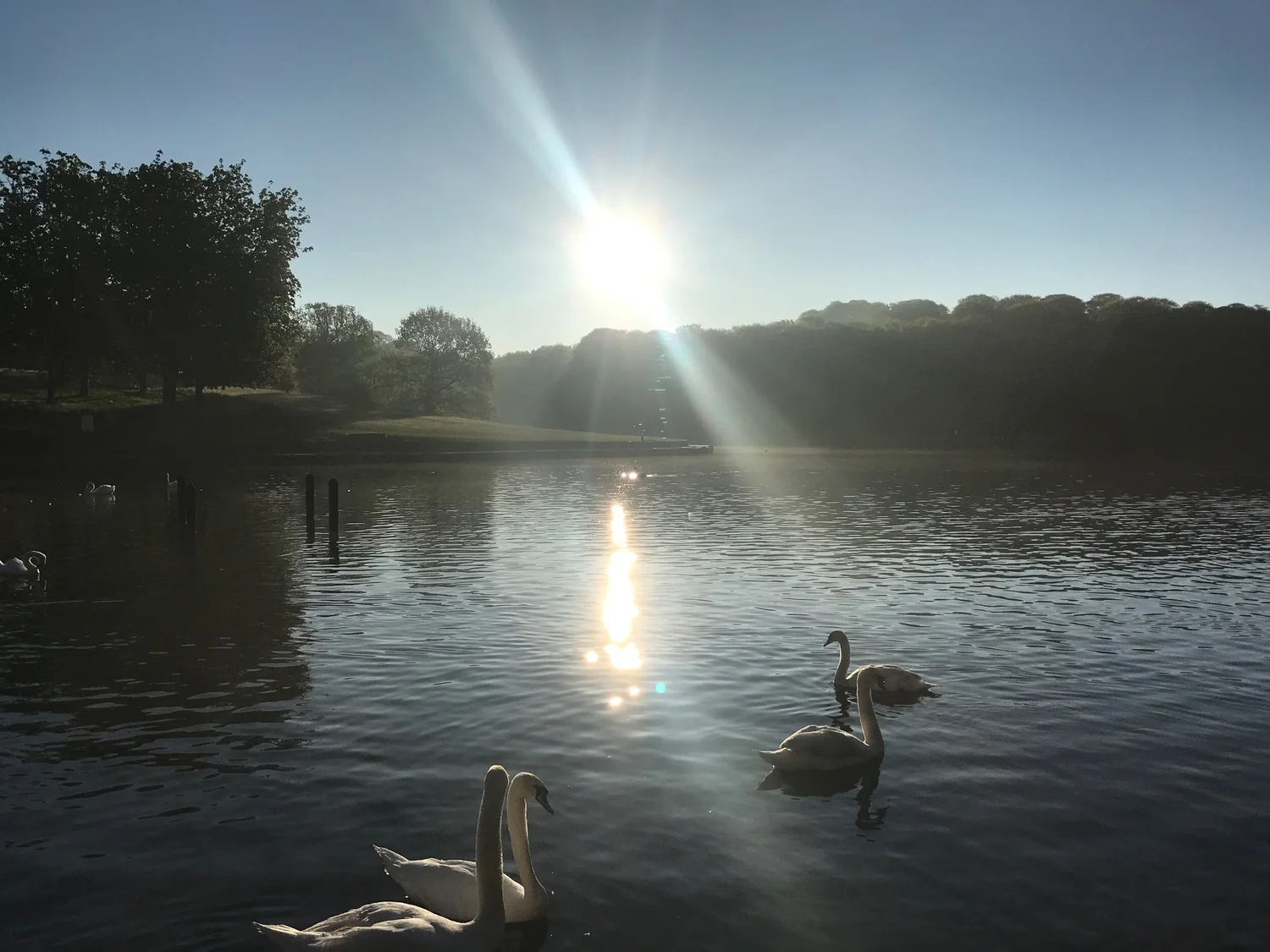 Roundhay Park