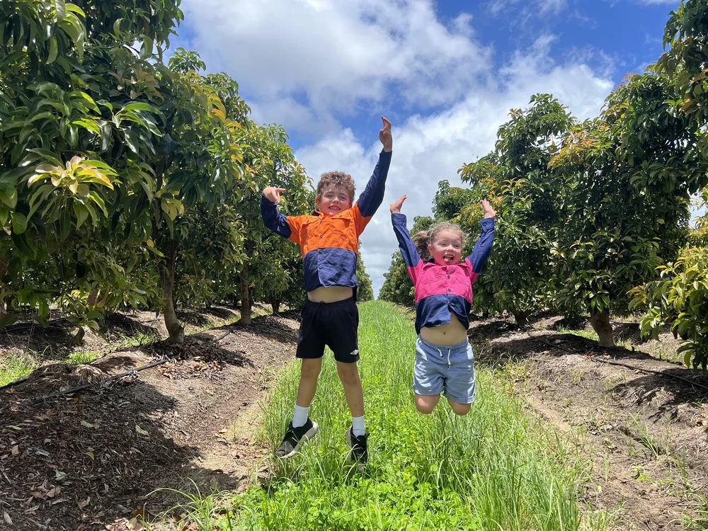 Dandy Produce - It's Fine, It's Dandy