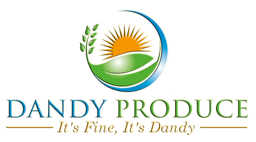 Dandy Produce - It's Fine, It's Dandy