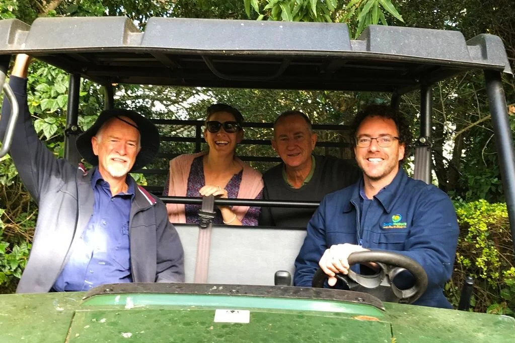 Dandy Produce - It's Fine, It's Dandy