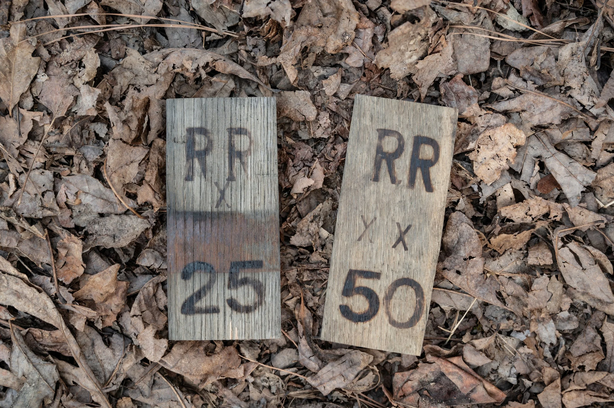 Rim Runner Trail Races — GTE