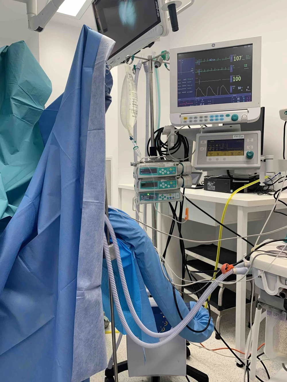 Vets - Working together in your hospital — Sydney Veterinary ...