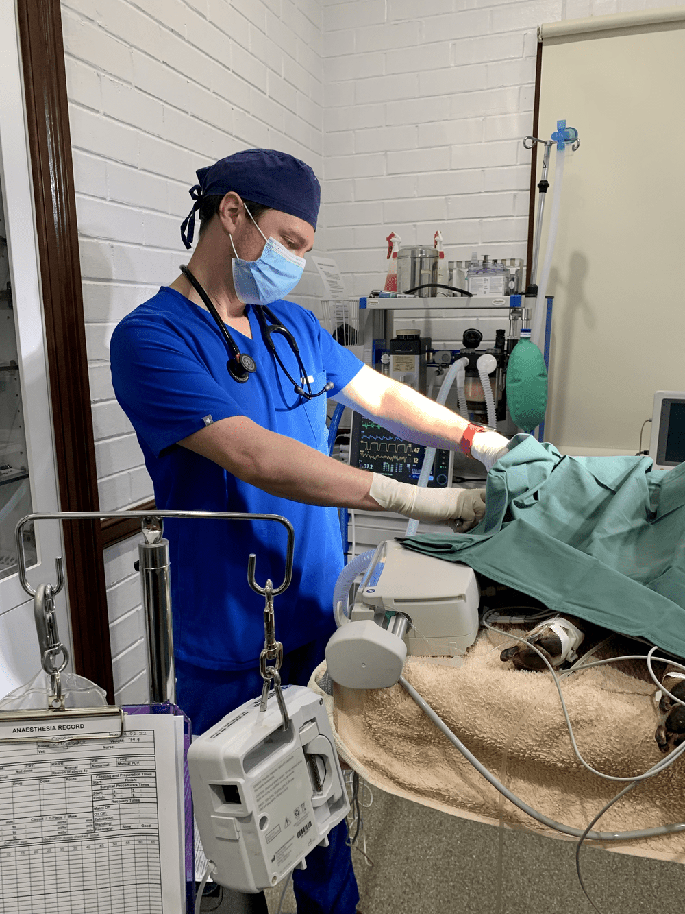 Contact 2 — Sydney Veterinary Anaesthesia for dogs and cats