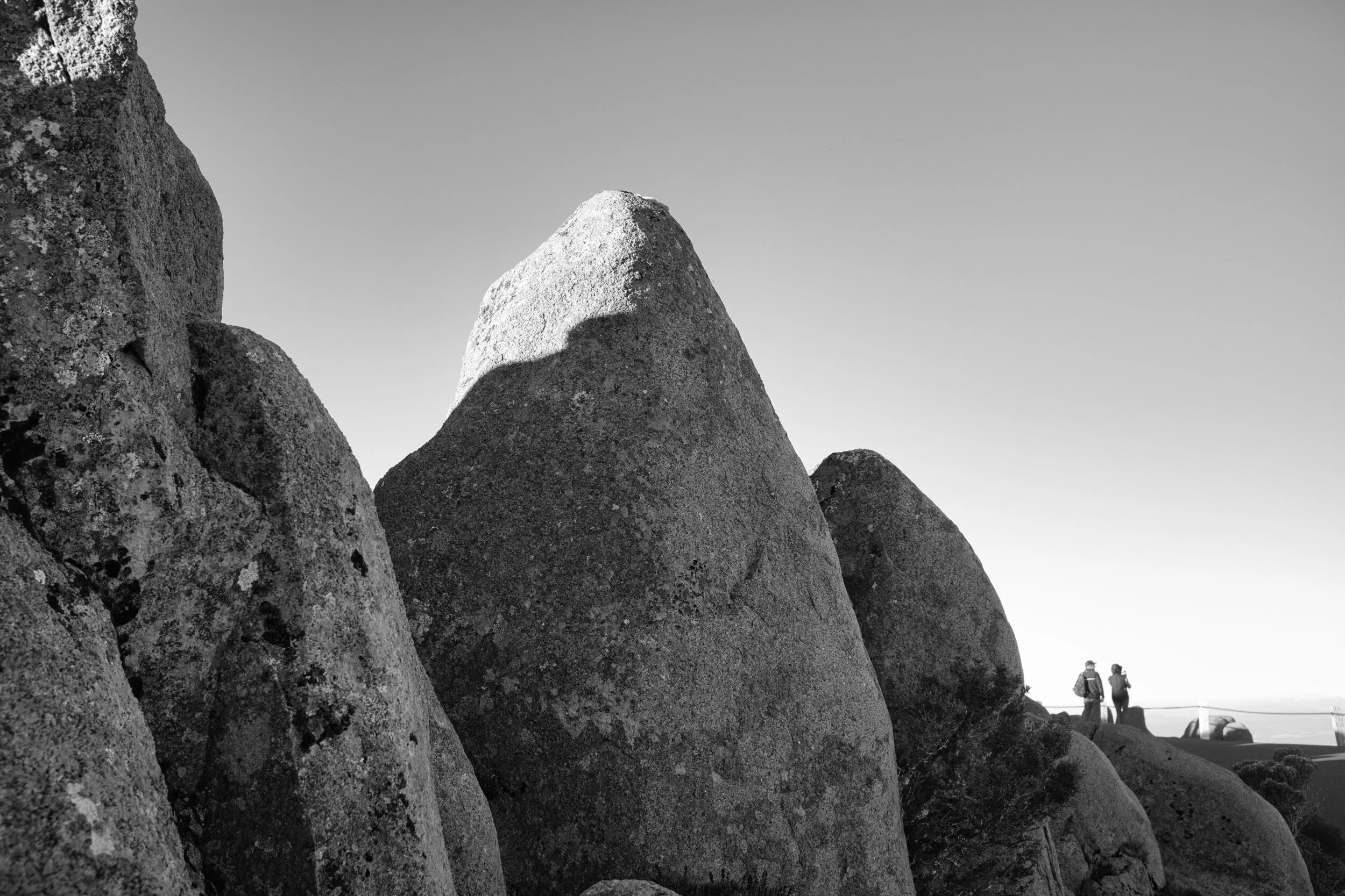 CONTACT — Andy McMaster