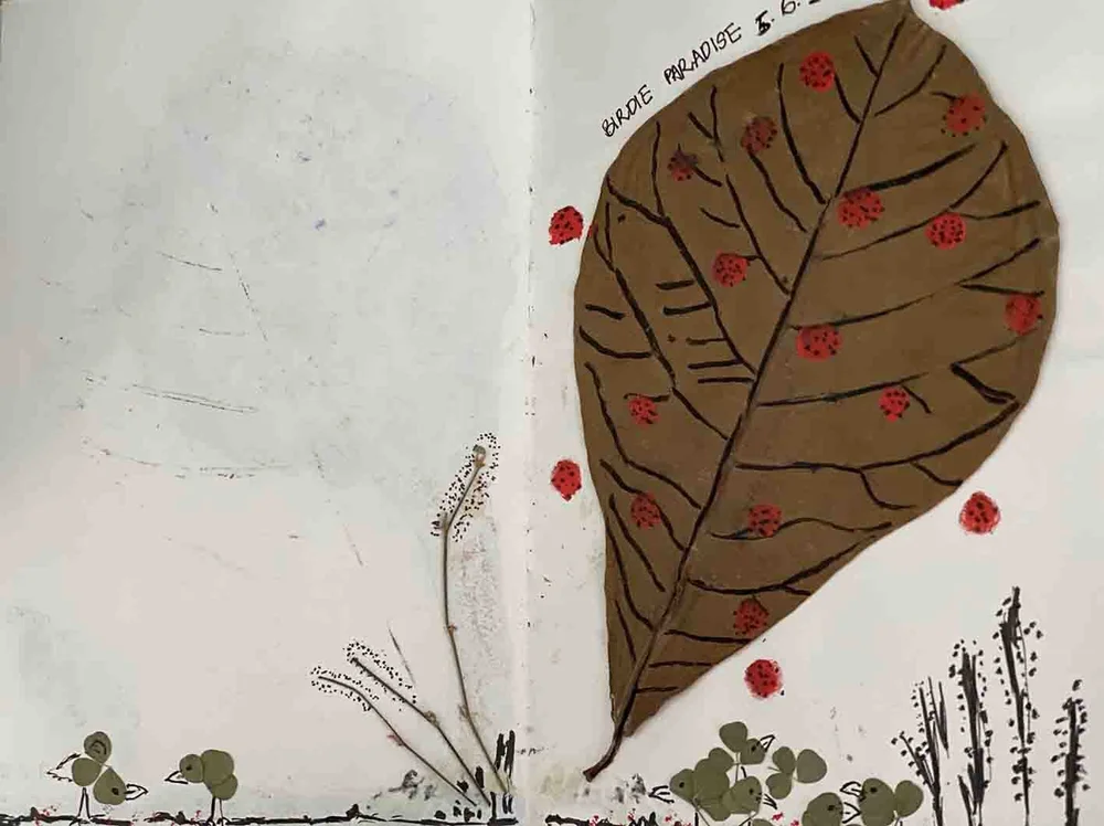 Nature Art Therapy — The Plant Story