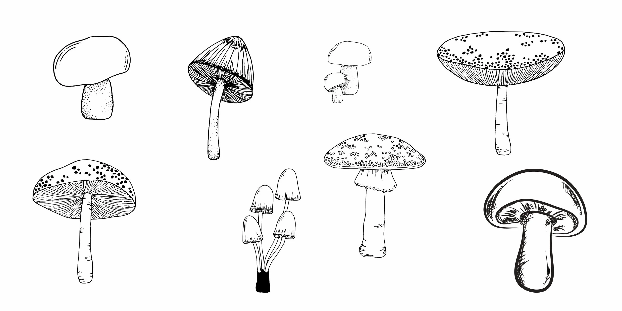 Food waste collections — Loop:Frome