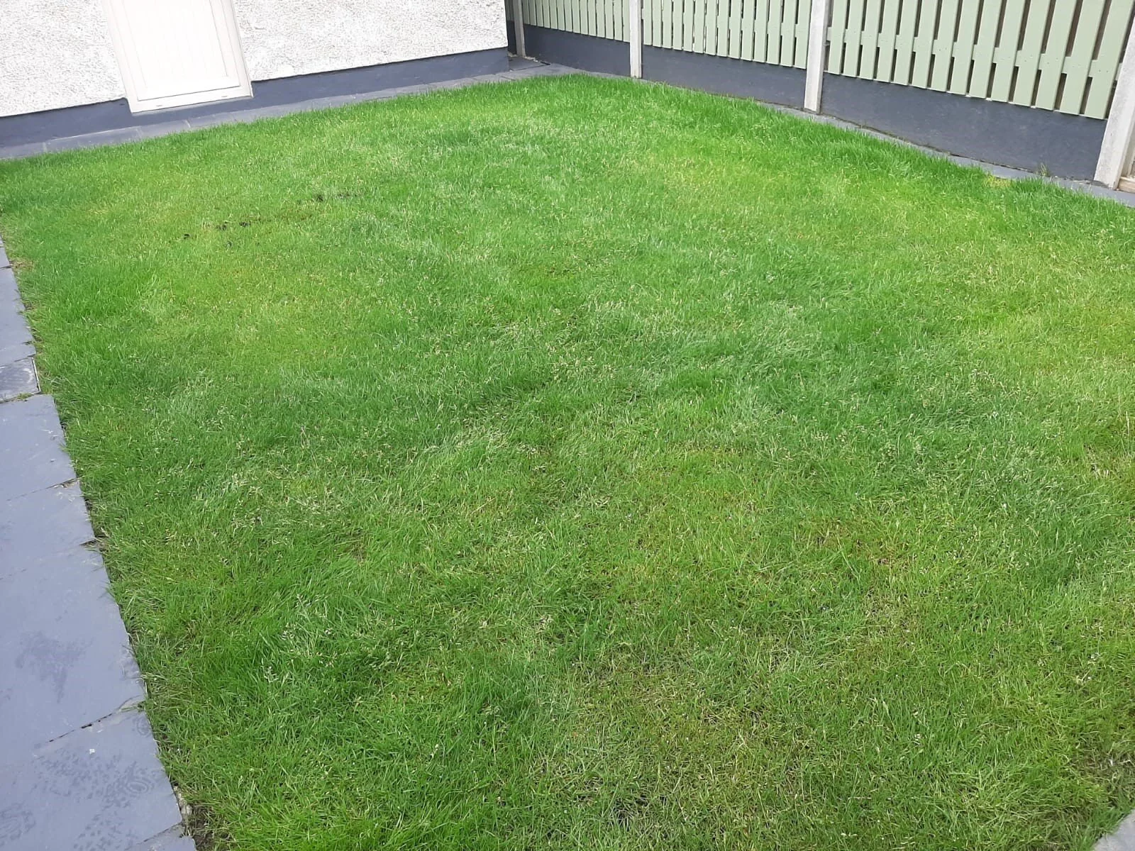 Lawn Care Portfolio | Green Feet Lawn Care