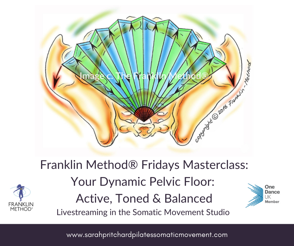 Franklin Method Masterclass: Your Dynamic Pelvic Floor: Active, Toned and Balanced — Sarah ...