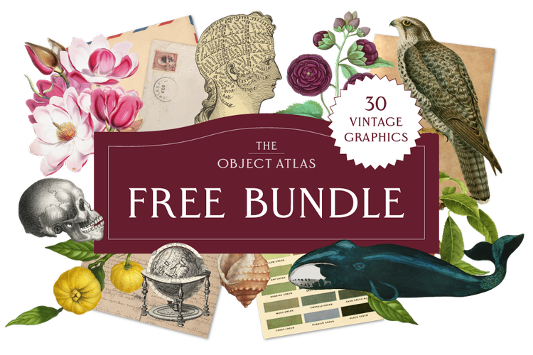 Dark Academia Vintage Ephemera Collection — The Object Atlas