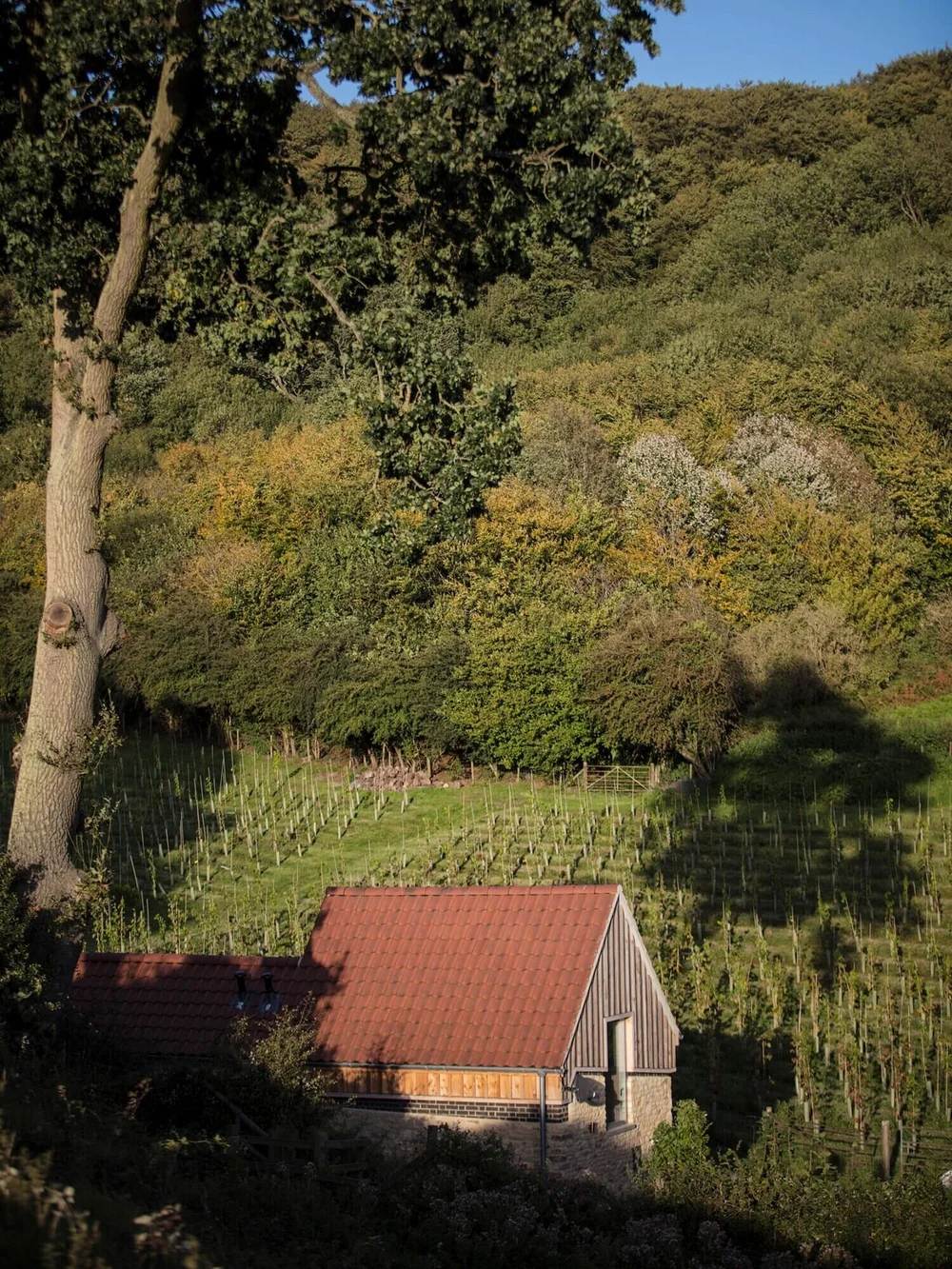 Barn conversion in the Cotswolds | Austin Design Works | Architect and ...