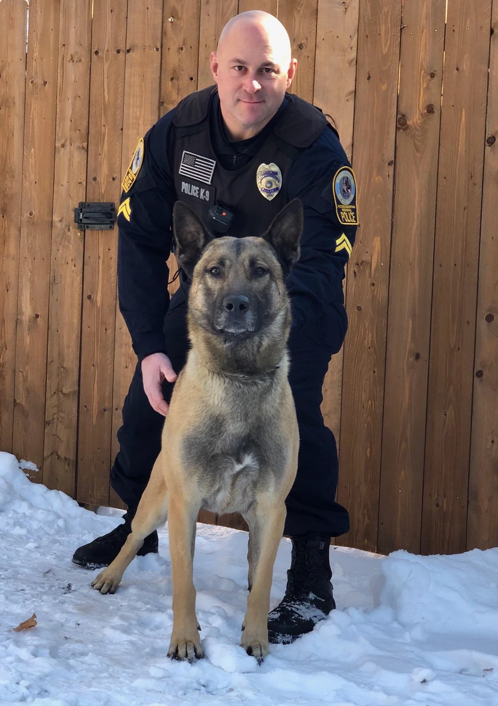 K-9 Division — Pocono Mountain Regional Police Department | Serving the ...
