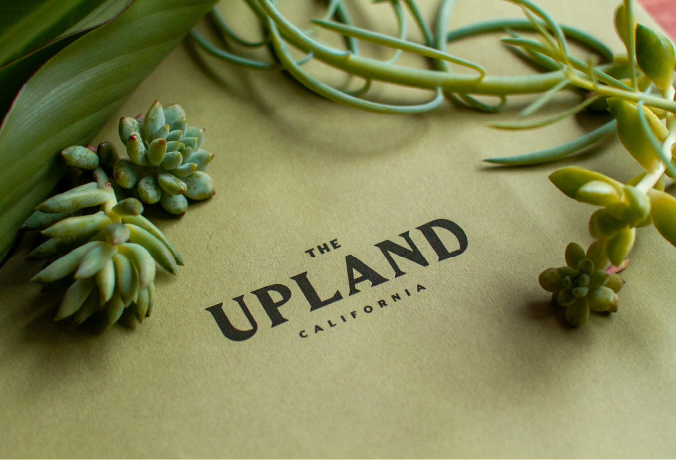 The Upland — Paper Laundry