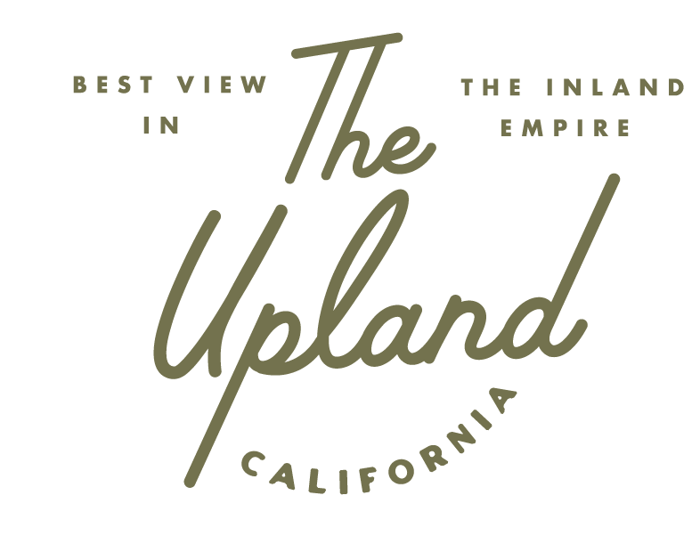 The Upland — Paper Laundry