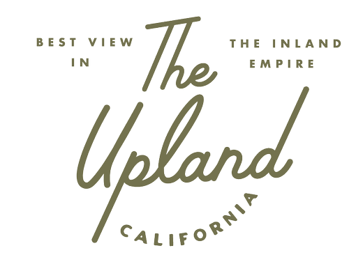 The Upland — Paper Laundry
