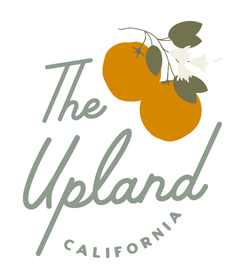 The Upland — Paper Laundry