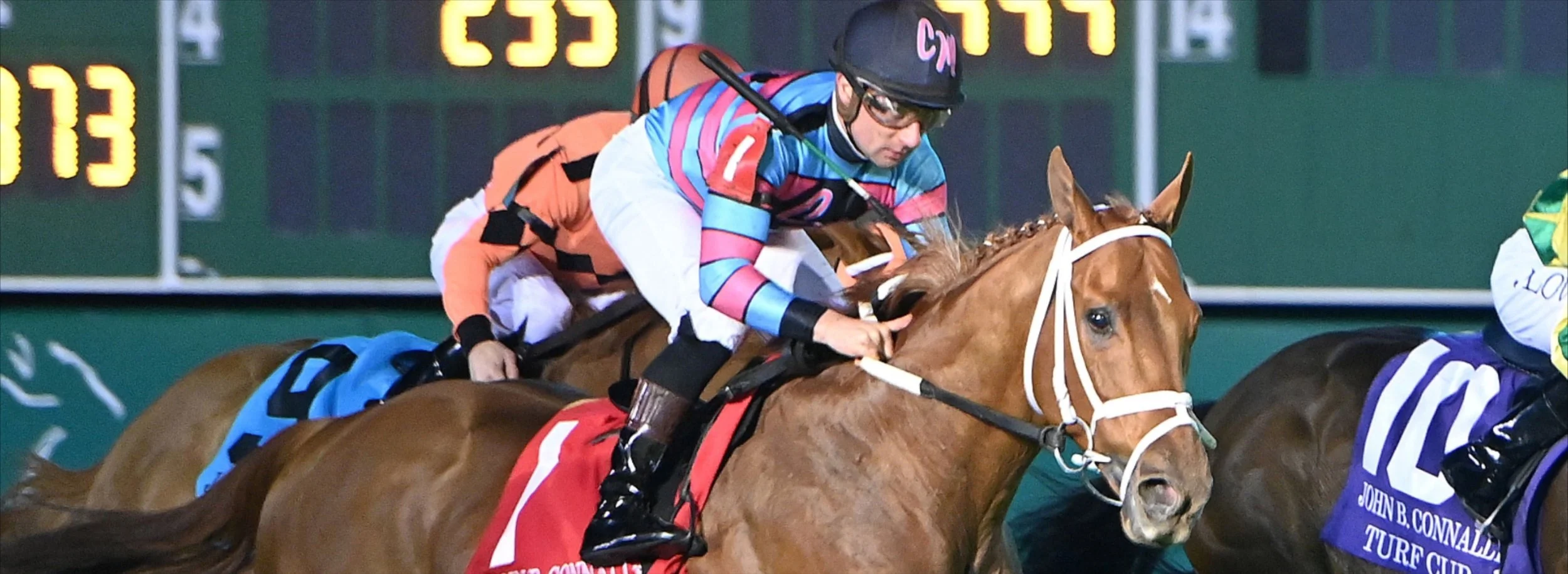 Curlin — Hill 'n' Dale Farms