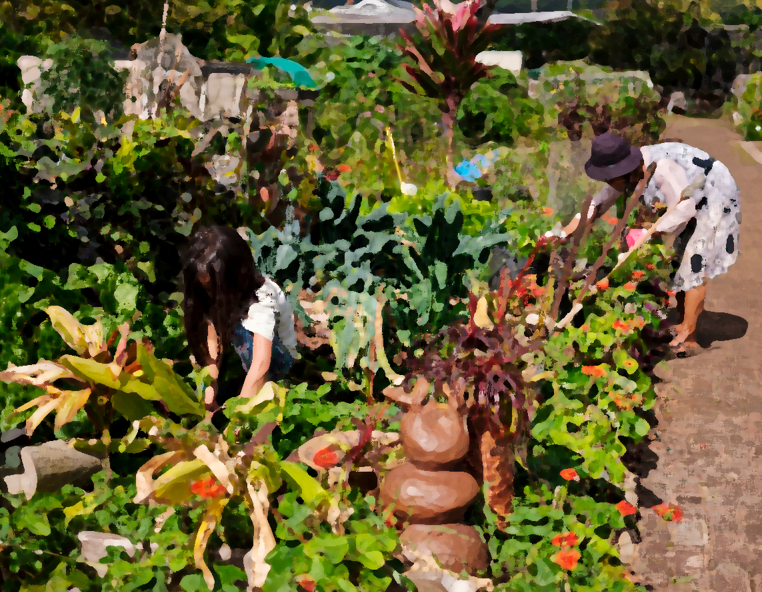 Right on Rice Urban Farm and Community Gardens — Downtown Līhu'e