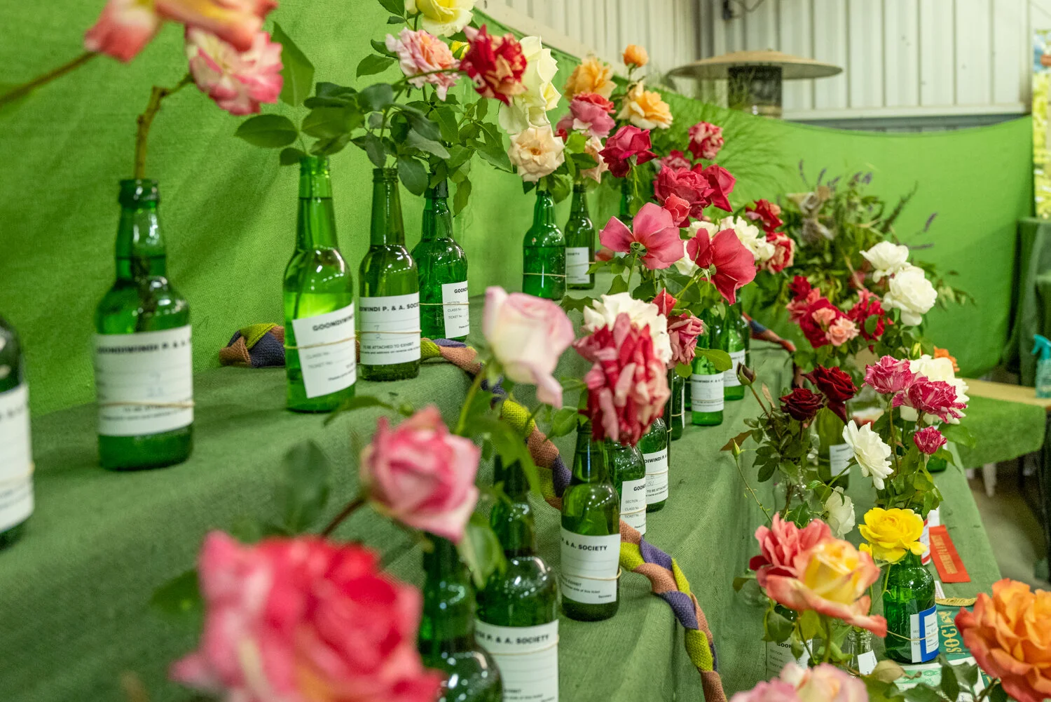 Pavilions and Competitions — Goondiwindi Show Society