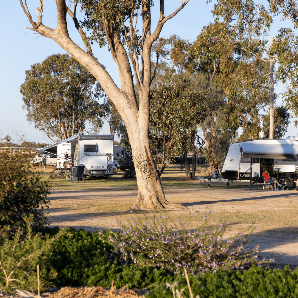 Caravan and Camp Grounds — Goondiwindi Show Society