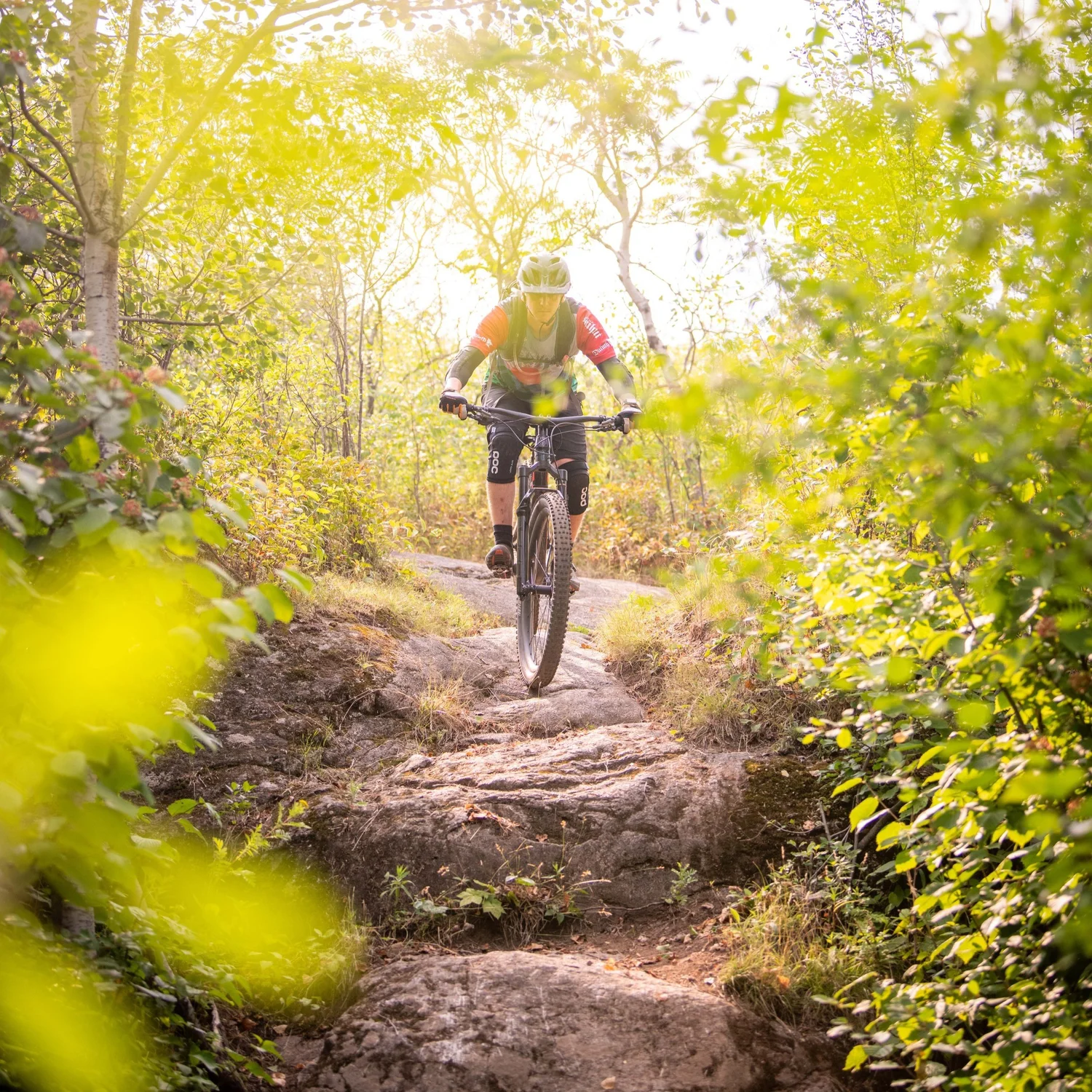 Cyclists of Gitchee Gumee Shores