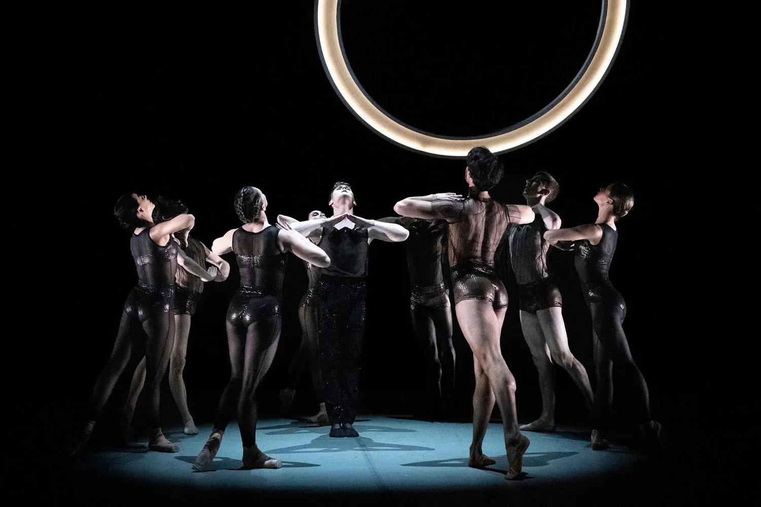 Contact McNicol Ballet Collective | About Our Vision & Ballet Projects ...