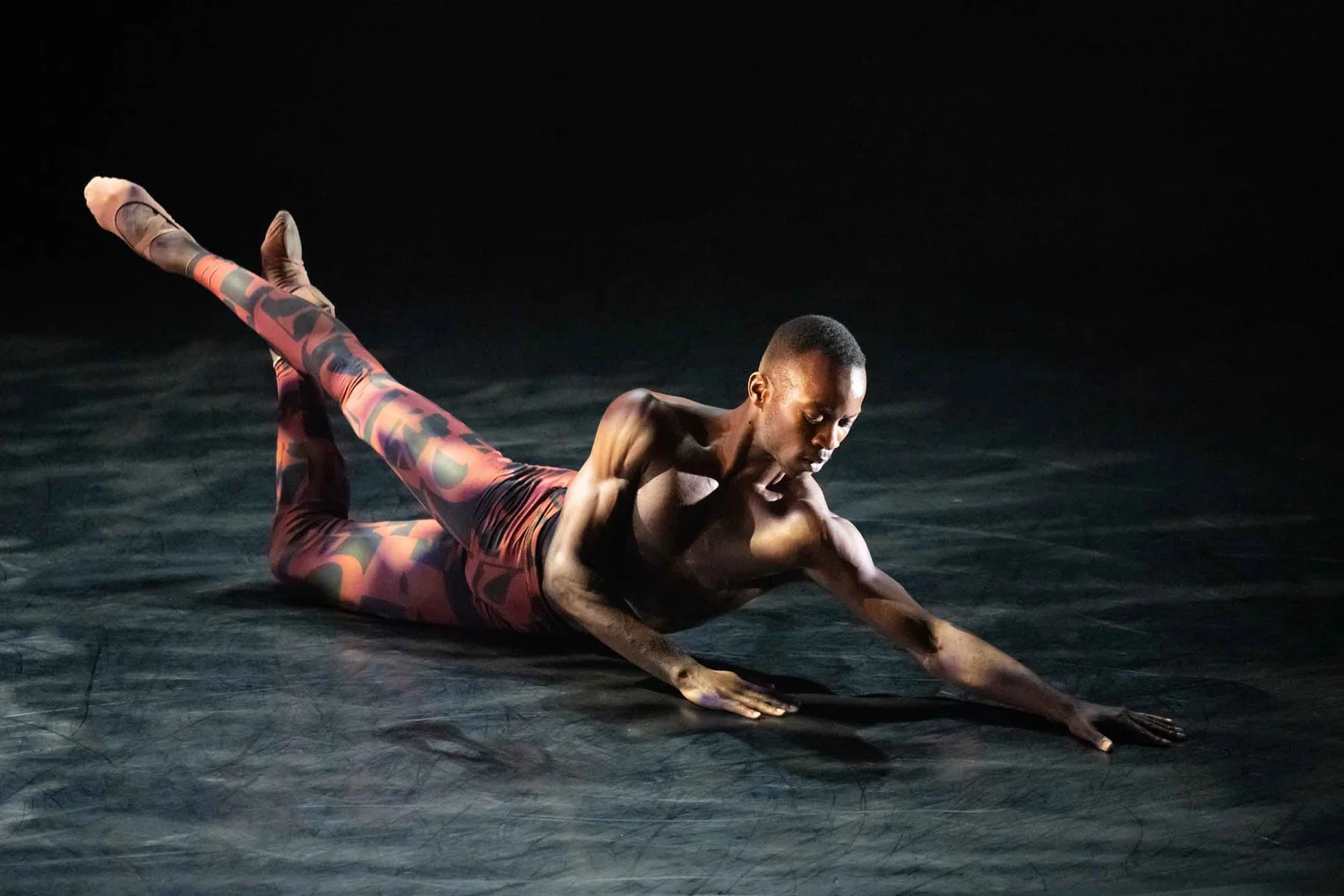 Contact McNicol Ballet Collective | About Our Vision & Ballet Projects ...