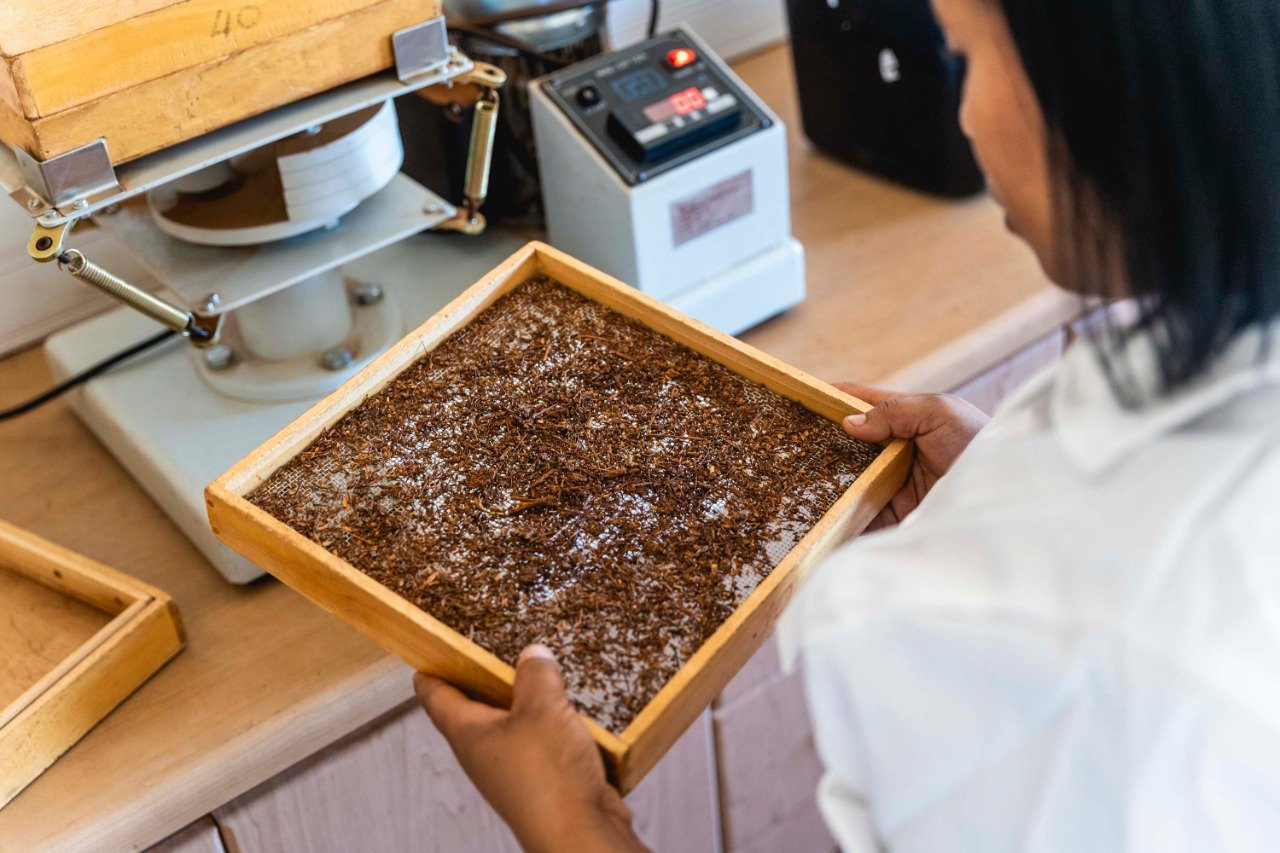 Kroon | Essayez le Rooibos dès aujourd'hui ! — KROON