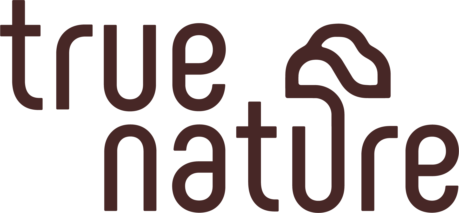 Nature Magazine Logo