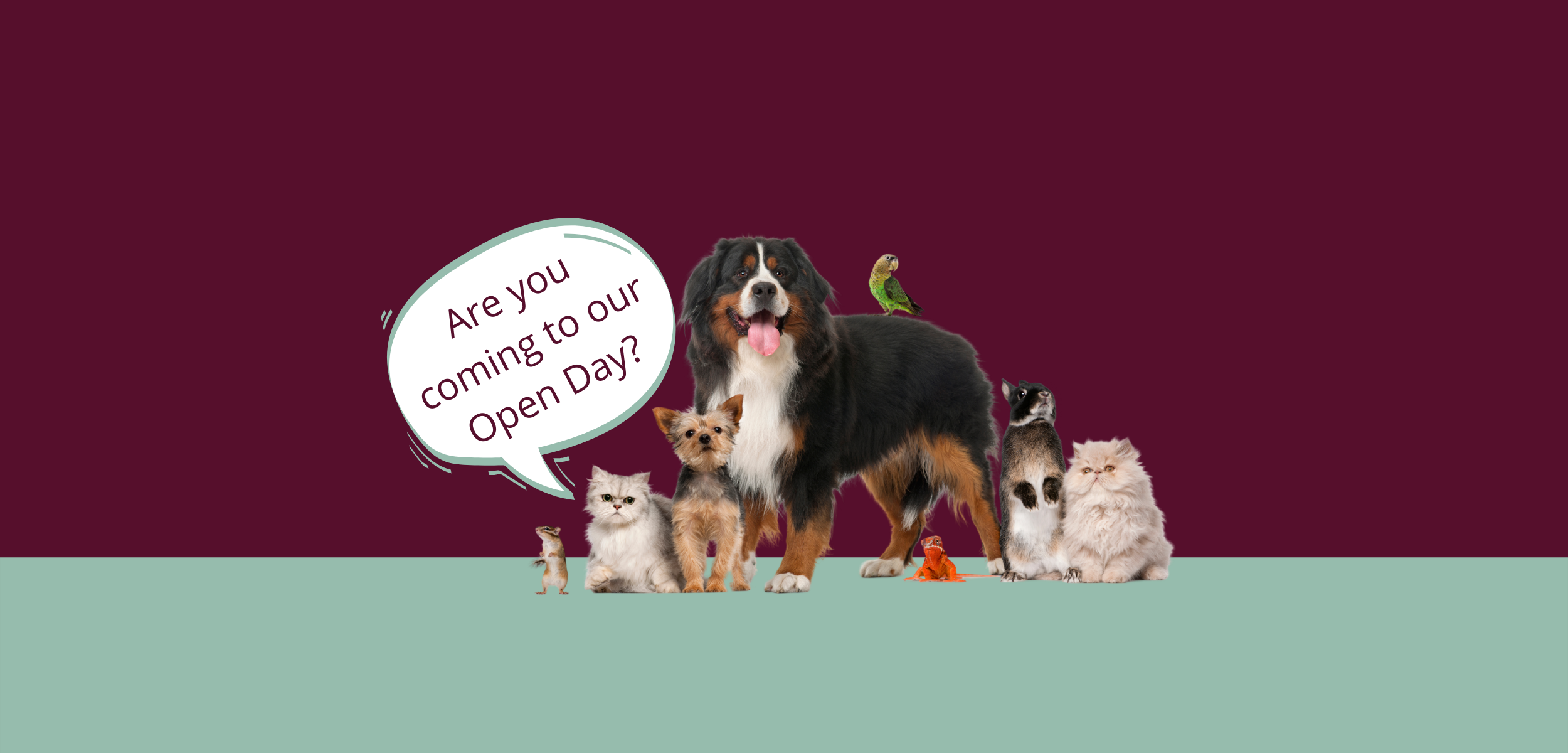 Goostrey Lane Vets