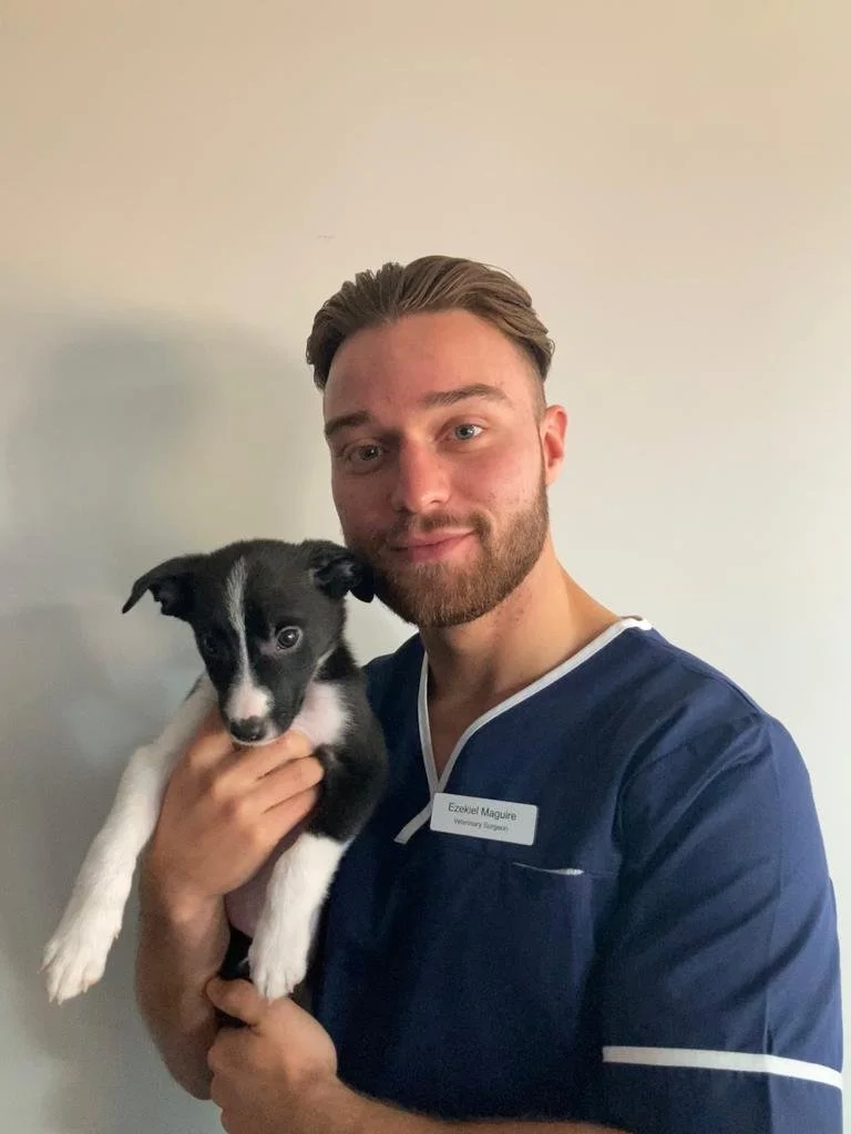 Meet James & the Team — Goostrey Lane Vets