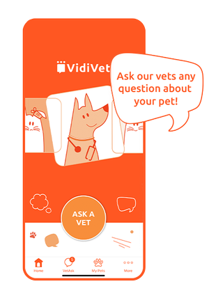 Contact | Reach Us Anytime — Goostrey Lane Vets