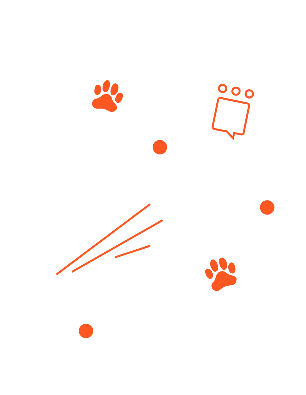 Contact | Reach Us Anytime — Goostrey Lane Vets