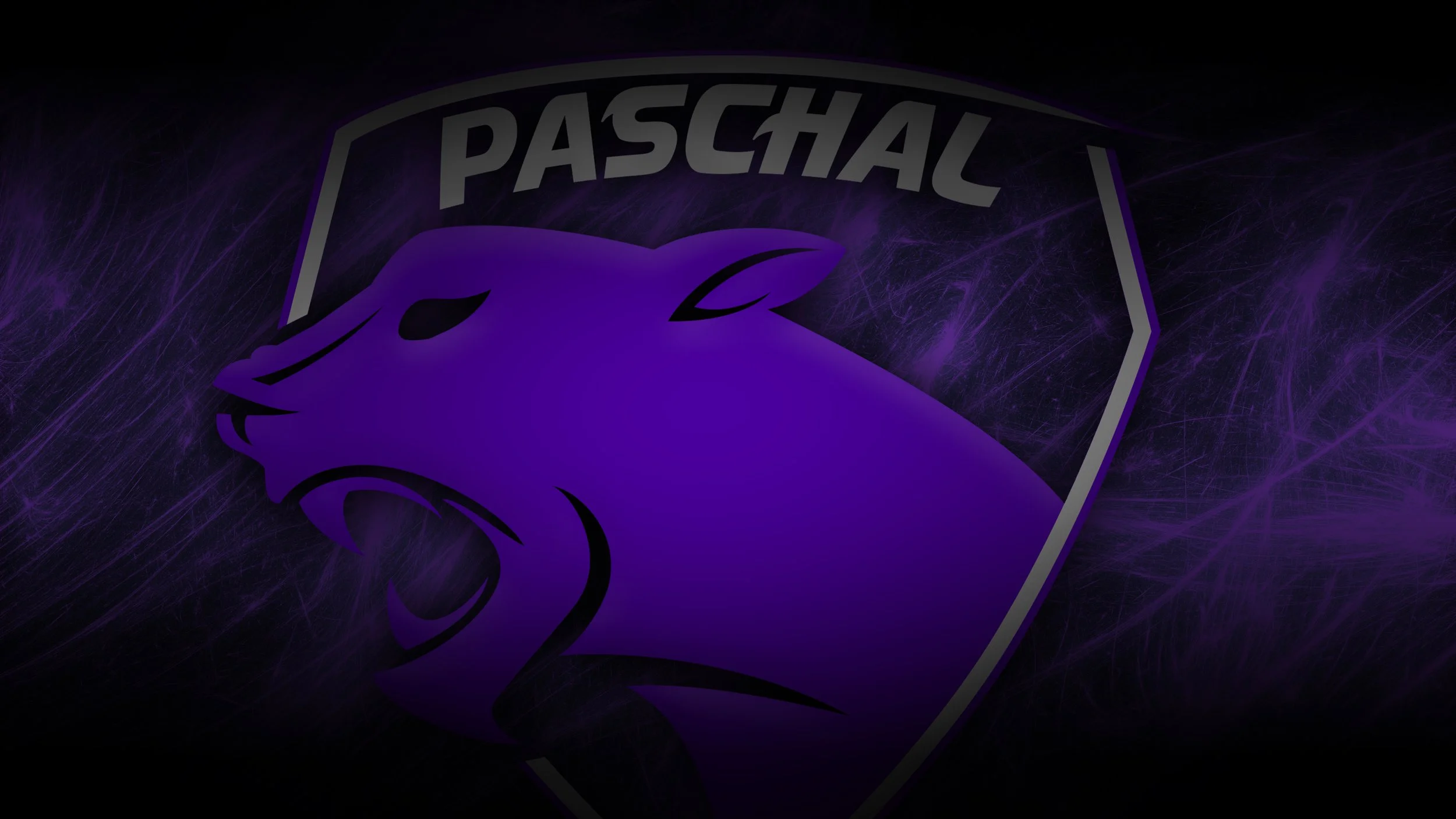 Booster Fundraising — Paschal HS Panther Band