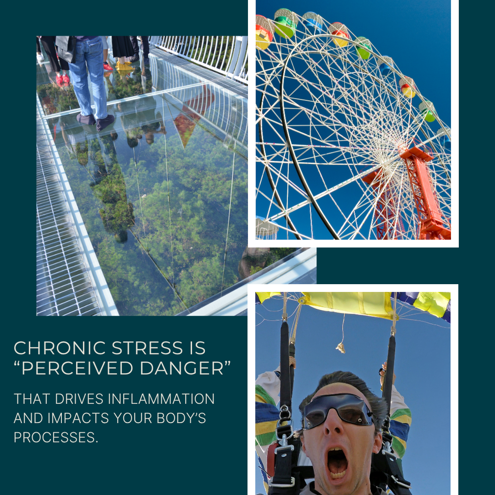 Christian Brain Retraining 101 | How & Why Christ Matters in Healing ...