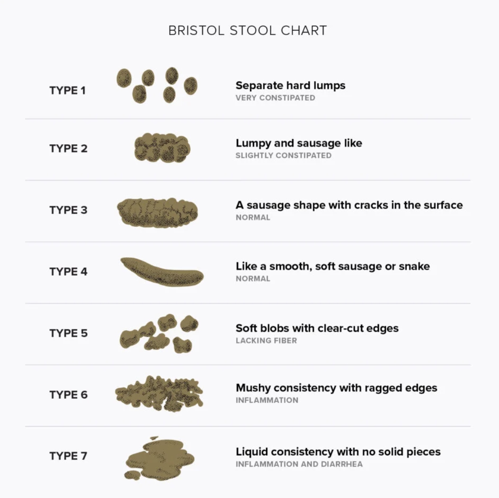 Dog Poop and the Art of Stool Gazing — Maev