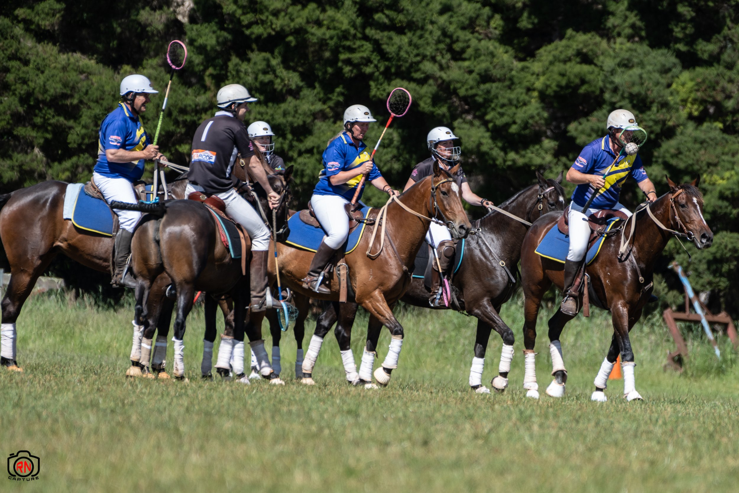 Look see at Polocrosse — Roger Nichols' Photos and Other Stuff